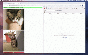 How to Lazy Load Images on WordPress (+ What's Native Lazy Load)