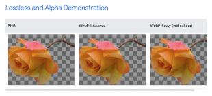 How to Serve Images in Next-Gen Formats