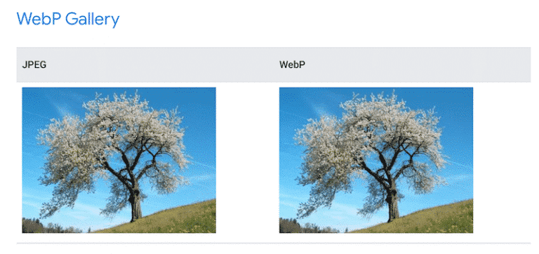 How to Serve Images in Next-Gen Formats