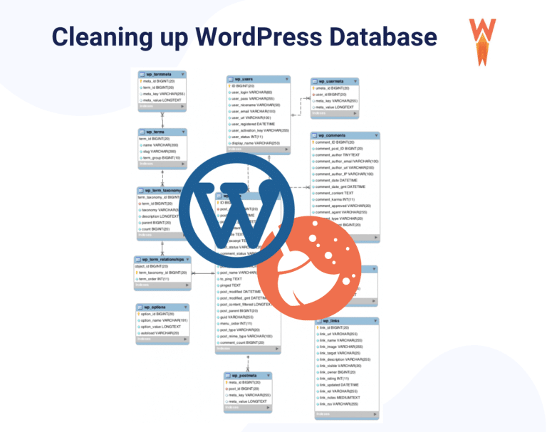 WordPress Database: How to Clean It up and Optimize It