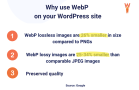 WebP Image on WordPress: What It is and How to Use it