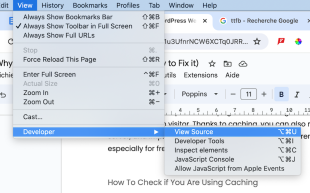 Why is Your WordPress Website Slow? (+ How to Fix it)