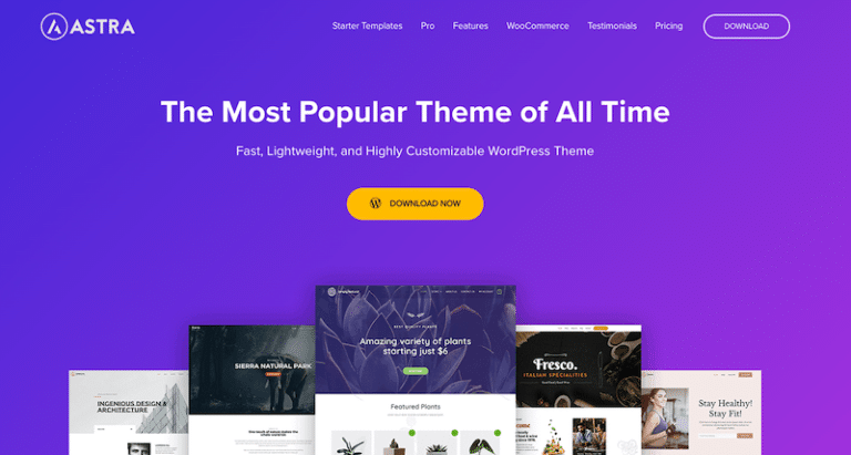 12 Best Responsive Themes for WordPress (Free & Paid)