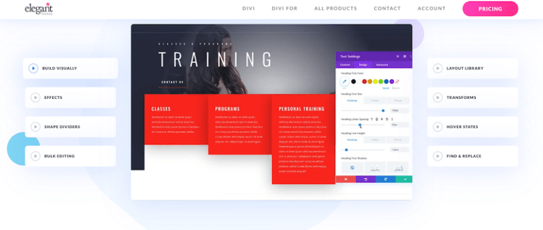 12 Best Responsive Themes for WordPress (Free & Paid)