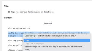 How to Use WordPress Revisions to Undo Changes